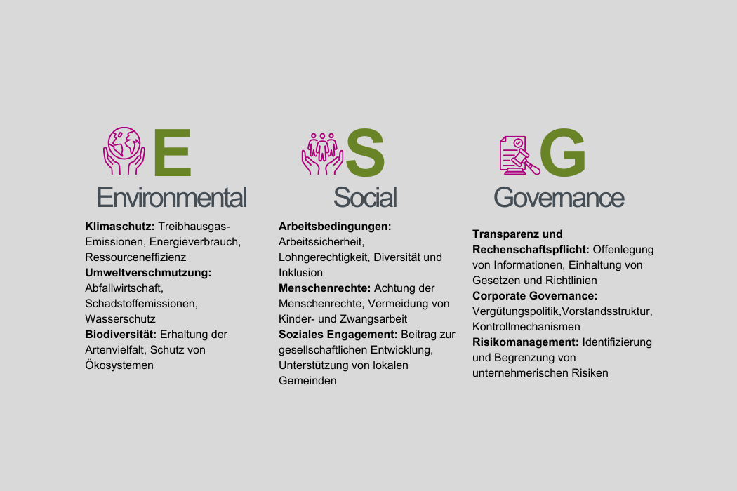 ESG Risk Manager (Univ.) - ZWW